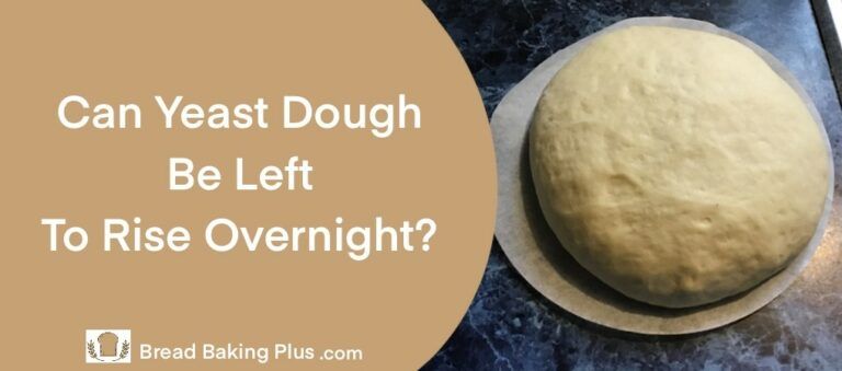 Can Yeast Dough Be Left To Rise Overnight - Bread Baking Plus